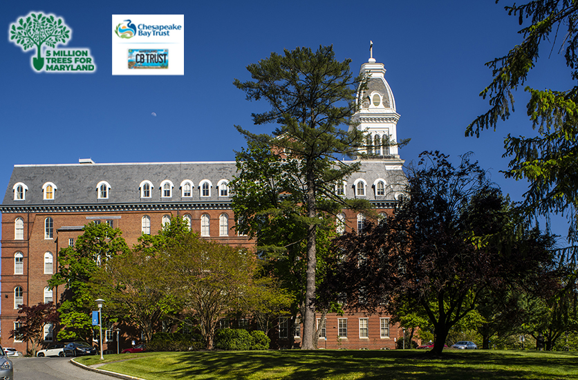 NDMU Awarded State Grant to Plant Over 175 New Trees on Campus | Notre ...
